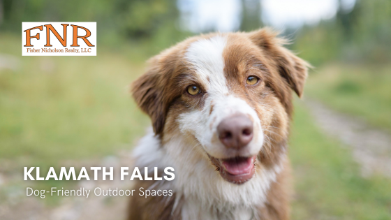 Dog-Friendly Outdoor Spaces - Klamath Falls, OR - Fisher Nicholson Realty